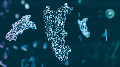 Base Peptides vs. Modified Peptides: What’s the Difference and Why It ...